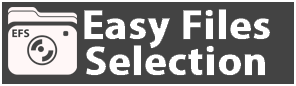 Term of use - Easy Files Selection